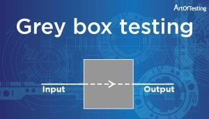Grey Box Testing - Techniques, Advantages & Disadvantages
