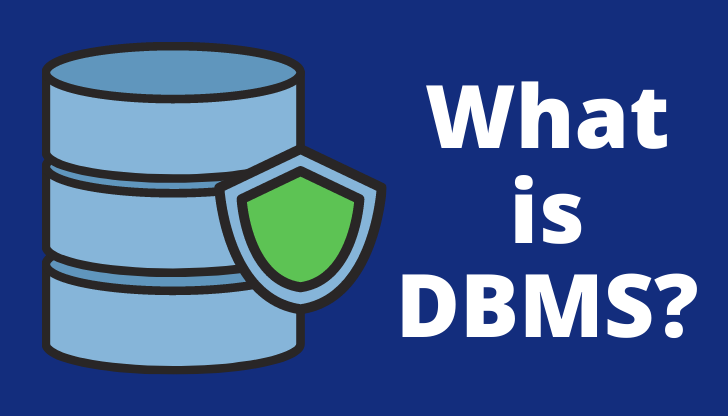 What Is DBMS How Is It Different From File System 